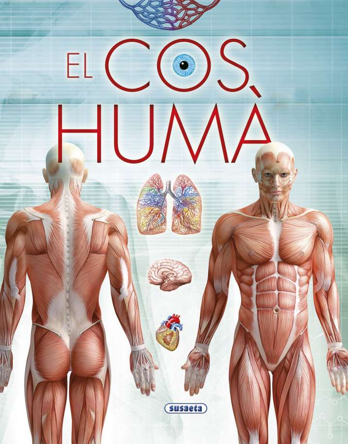 El cos humà | Editorial Susaeta - Venta de libros infantiles, venta de libros, libros de cocina ...