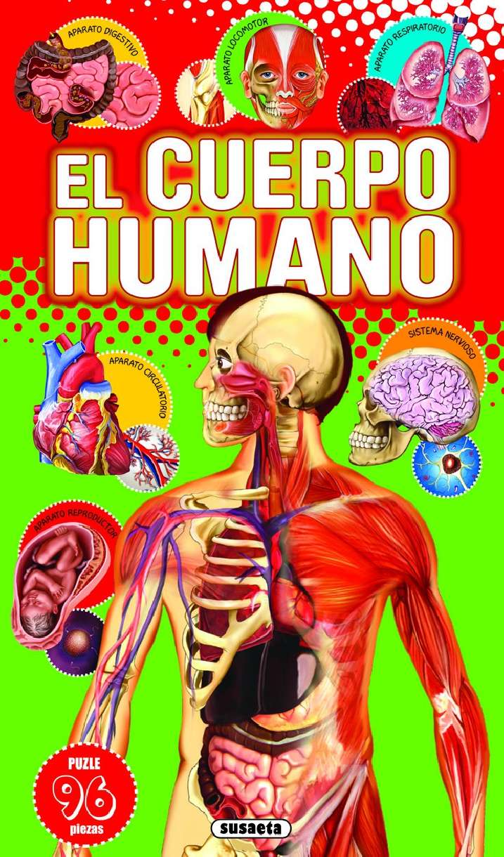 El cuerpo humano | Editorial Susaeta - Venta de libros infantiles ...